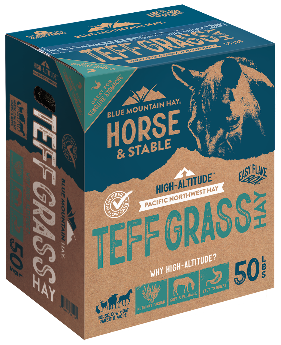Teff Grass Hay for Horses | Easy Flake Box | Blue Mountain Hay